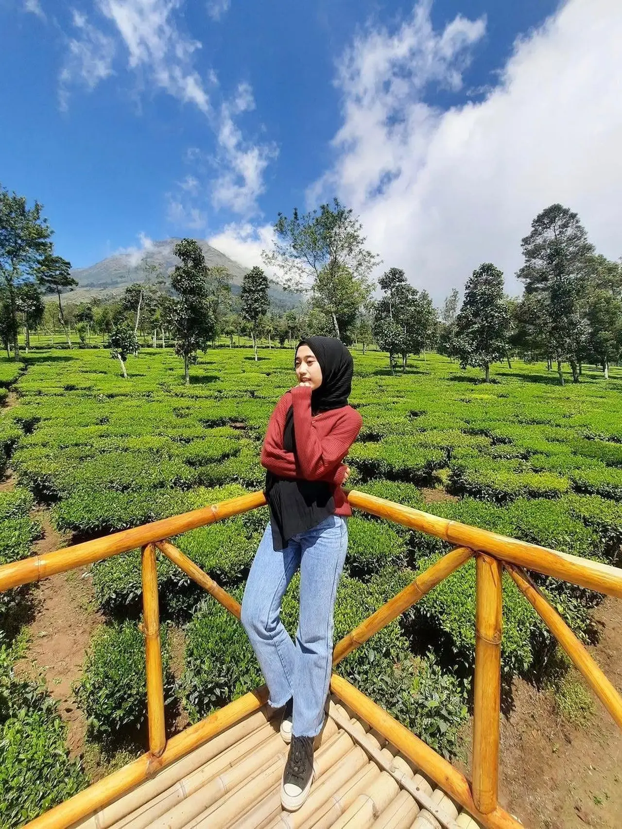 12 Wisata Dieng Terbaru 2025, Sunrise Legendaris Hingga Spot ...