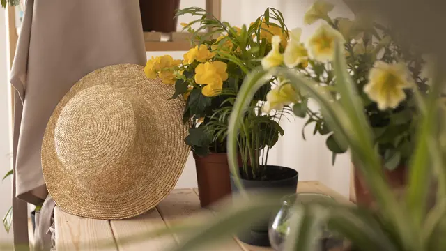 10 Tips Menata Bunga di Ruangan Agar Estetik, Rumah Jadi Lebih Indah ...