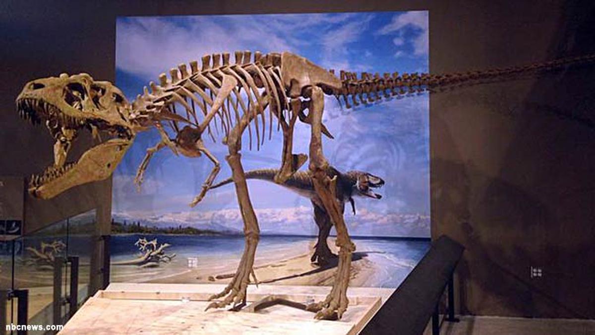 Ilmuwan Kuak Penemuan `Raja Predator` Dinosaurus di Utah - Global ...