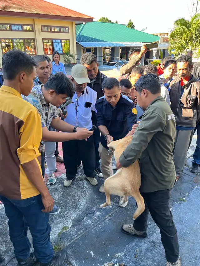 Fenomena Peningkatan Kasus Rabies di Beberapa Daerah Kementan Lakukan ...