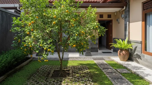 16 Pohon Buah yang Tidak Membuat Paving Cepat Rusak, Cocok Ditanam di ...