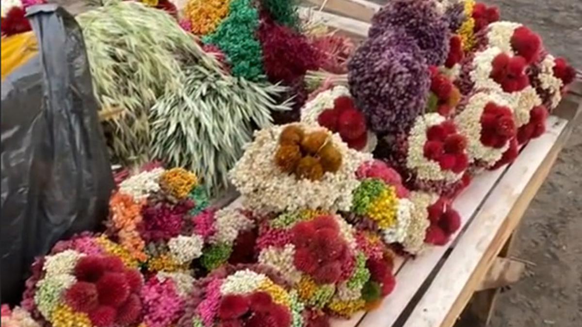 Beda dari Gunung Lain, Mengapa Bunga Edelweis di Bromo Dijual ke ...