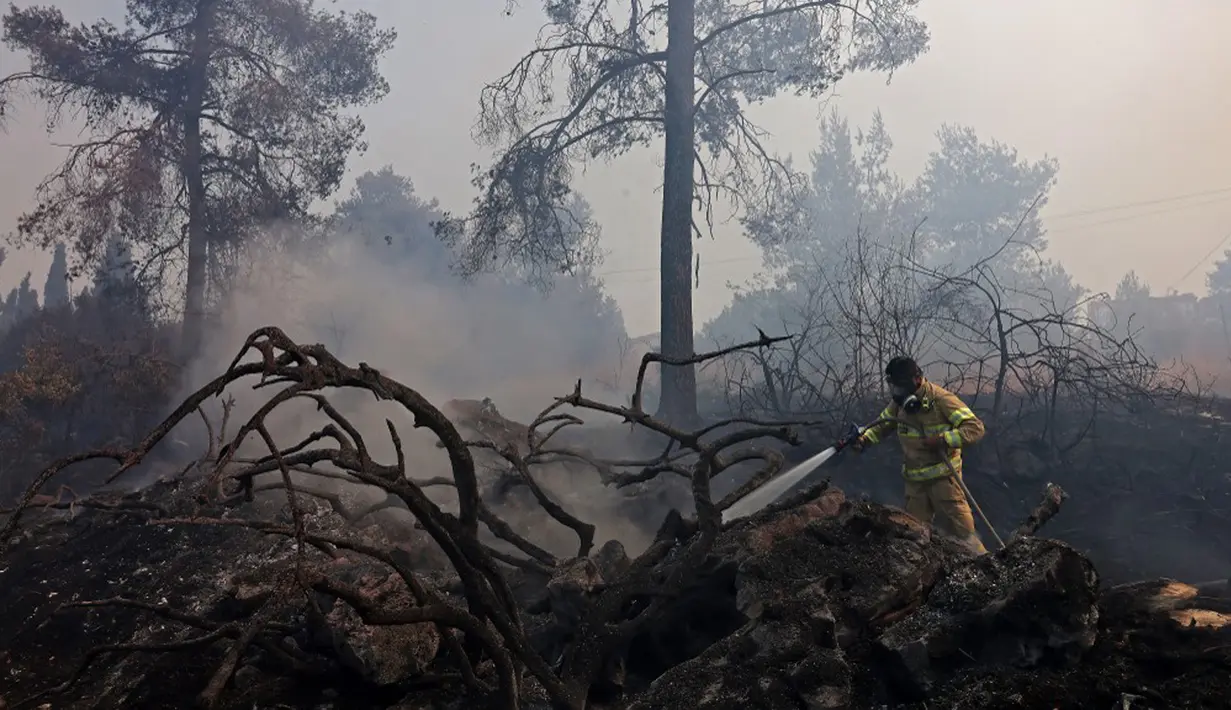 FOTO: Kebakaran Hutan Hebat Landa Israel - Foto Liputan6.com