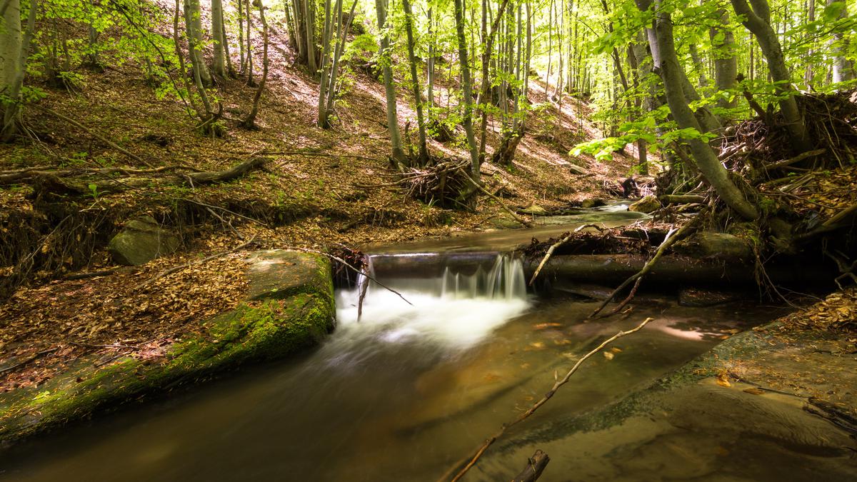 Misteri di Mata Air Pantan Cigowong, Saluran Air Peninggalan Belanda di ...