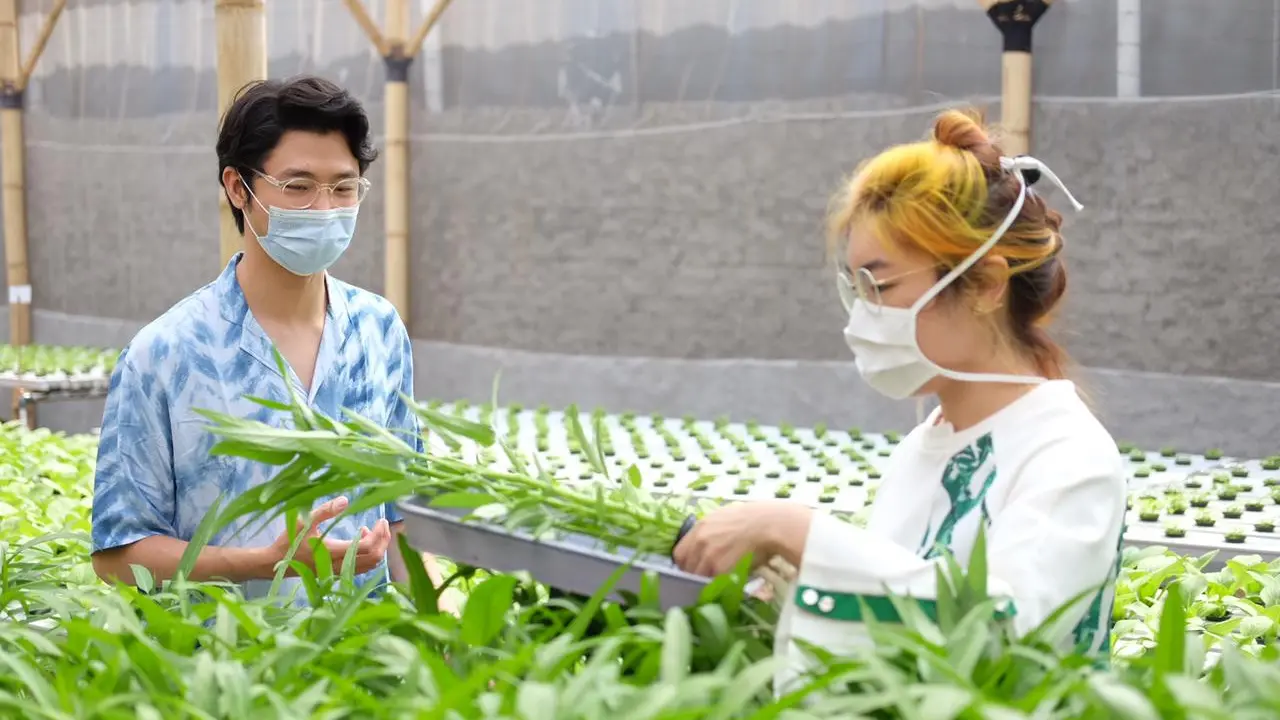 Penyanyi Han Chandra Sulap Lahan Bekas Penampungan Barang Tak Terpakai ...