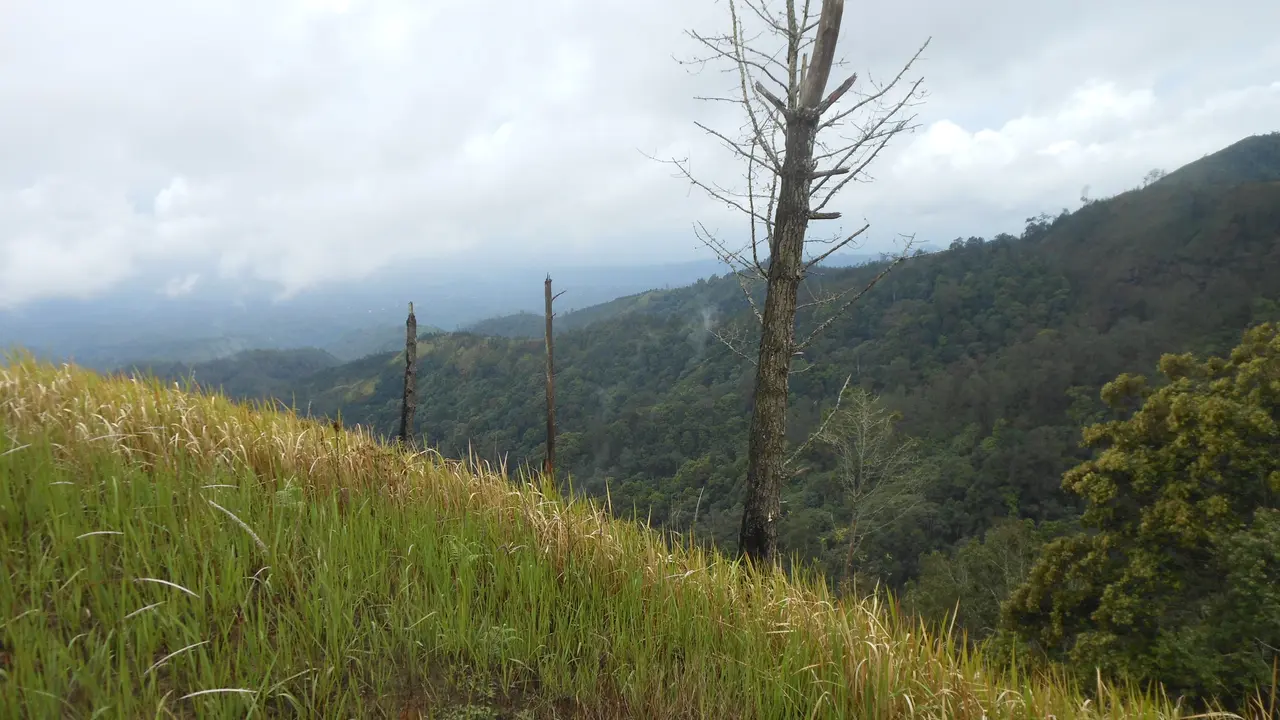 6 Fakta Menarik Gunung Liman, Bagian dari Deretan Pegunungan Wilis di ...