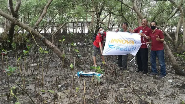 Kopdar Akbar Jawa ke-4 Innova Community Diisi dengan Penanaman Bakau ...