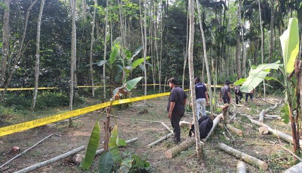 Mengenal Menara Siger, Simbol Kebanggaan dan Inovasi Arsitektur Lampung