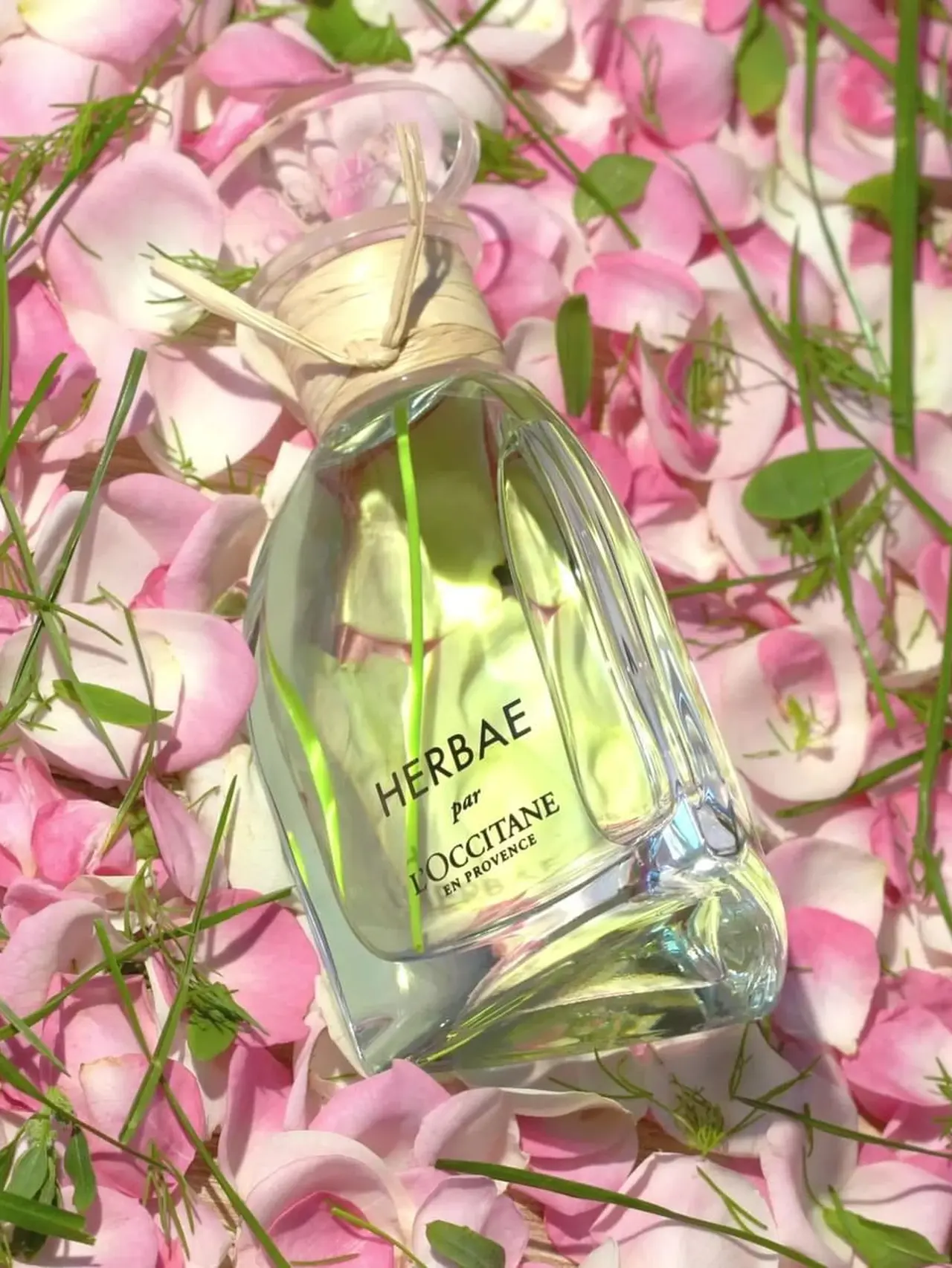 Segar dan Manis Parfum Aroma Rumput Plus Bunga Herbae par L'Occitane ...