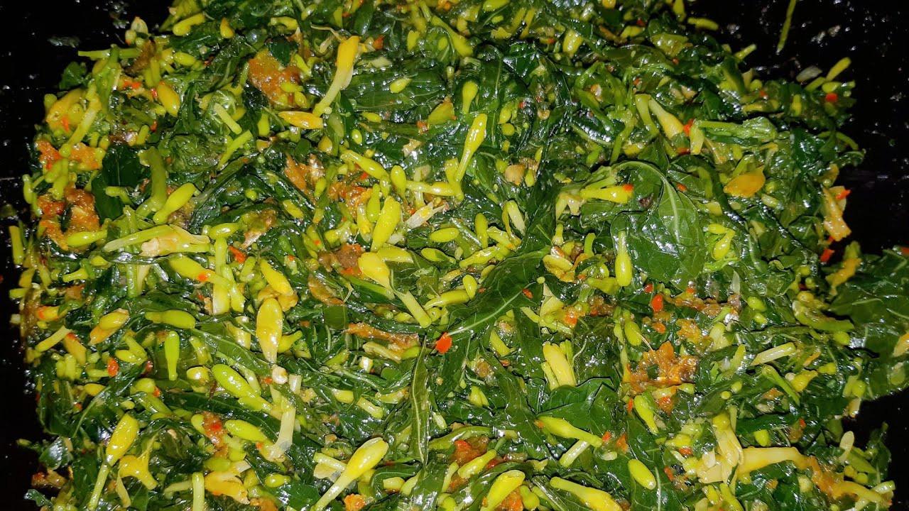 15 Resep Daun Singkong Enak dan Sehat: Panduan Lengkap untuk Hidangan ...