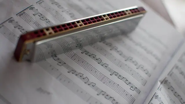 Alat Musik yang Dimainkan dengan Cara Ditiup Disebut Aerophone, Lengkap ...