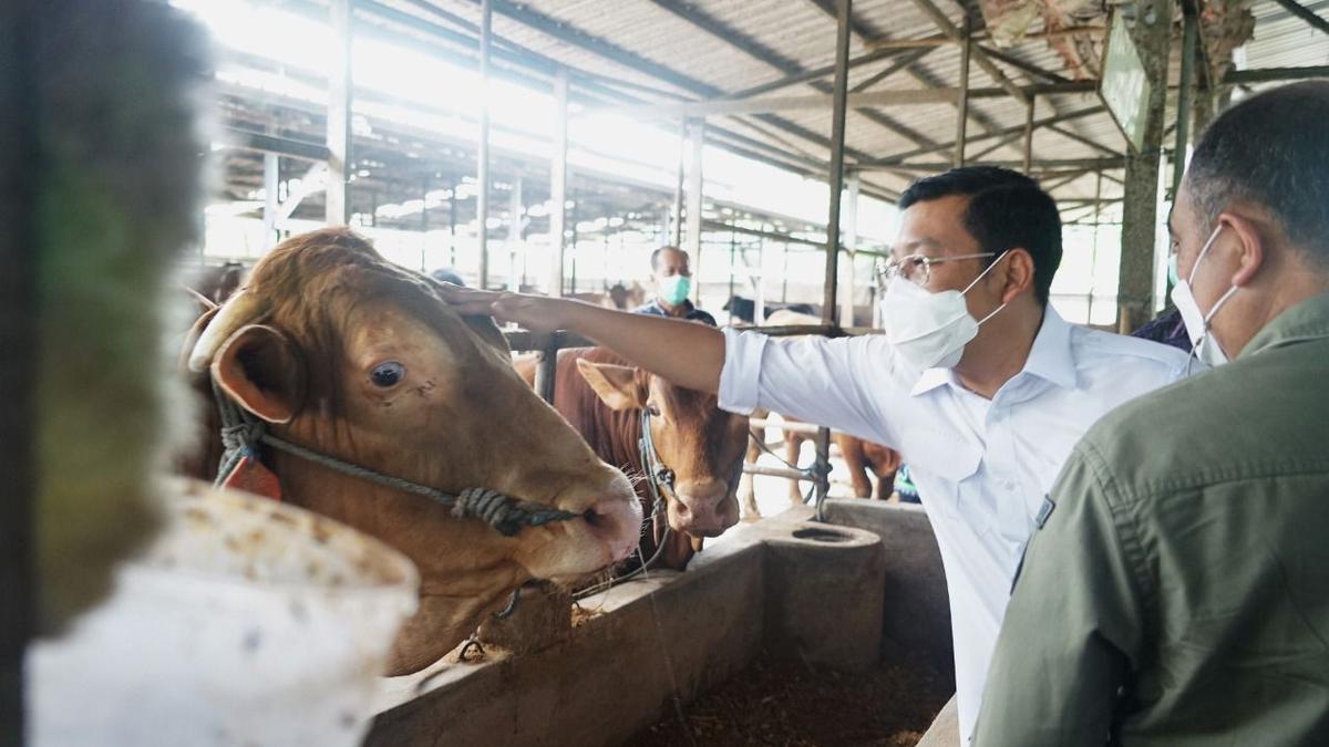 Stok Daging Sapi Aman hingga Akhir Tahun, Harga Rata-Rata Rp 133.670 ...