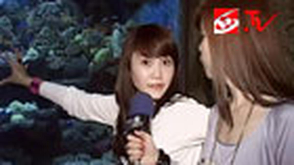 Sinjo Nostalgia Masa Sekolah di Seaworld - Video Liputan6.com