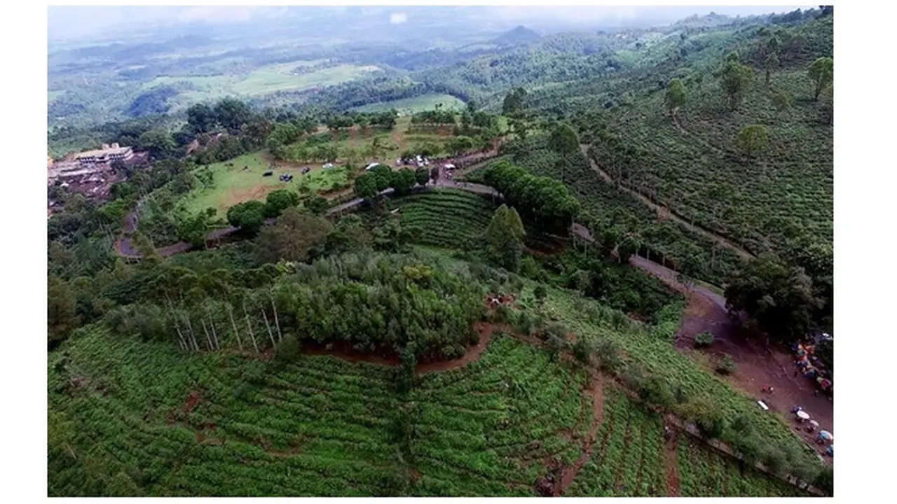 16 Wisata Ngawi yang Wajib Dikunjungi, dari Sejarah hingga Alam - Hot Liputan6.com