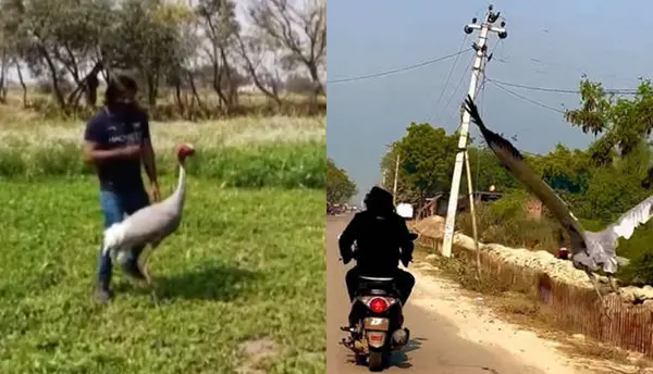 6 Meme Lucu Orang Ingin Sukses Ini Jadi Mikir Berat - Hot Liputan6.com