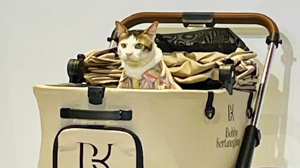 Gaya Bobby Kertanegara Pakai Kemeja Batik Koleksi Didit Hediprasetyo ...