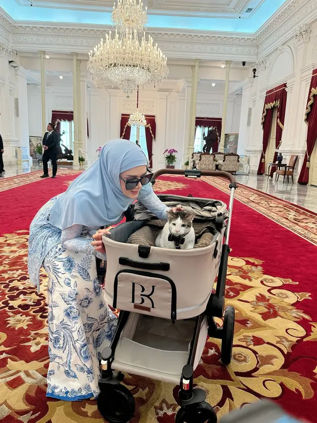 7 Potret Bobby Kucing Prabowo di Pelantikan Presiden, Jadi Penghuni ...