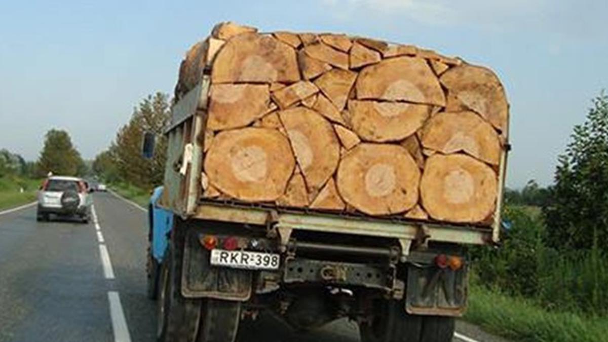 10 Foto Penataan Barang yang Rapi Banget: Perfect!