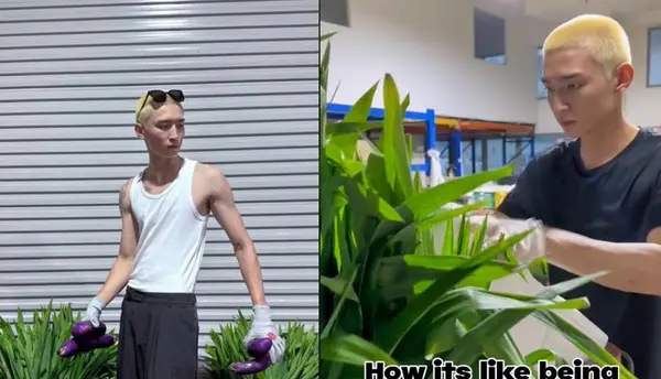 Peraturan Permainan Bulu Tangkis Ganda dan Tunggal, dari Garis Lapangan ...