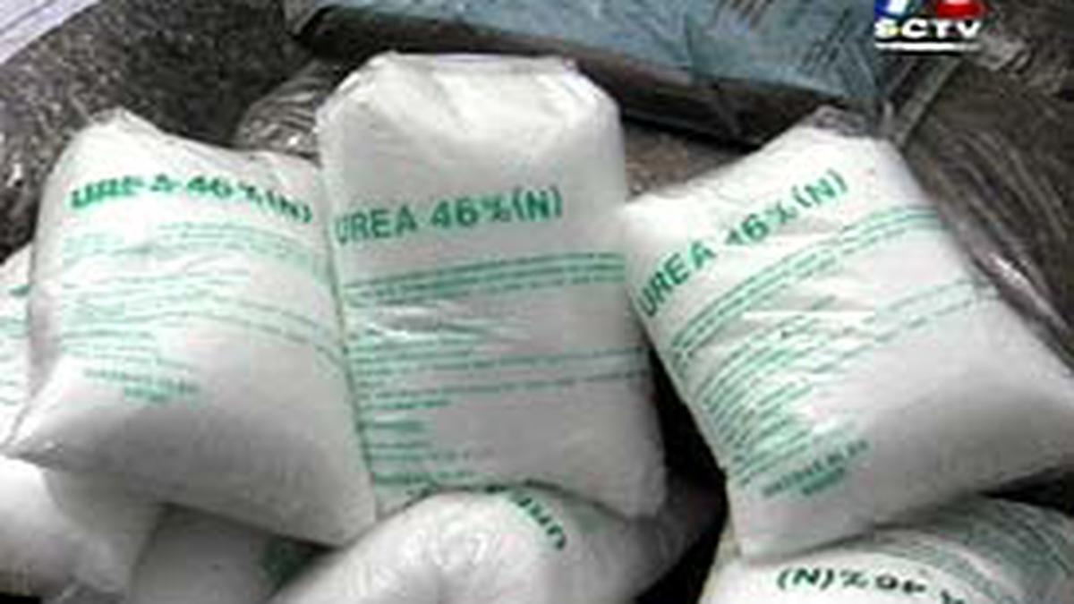 Harga Pupuk Urea Masih Mahal - News Liputan6.com