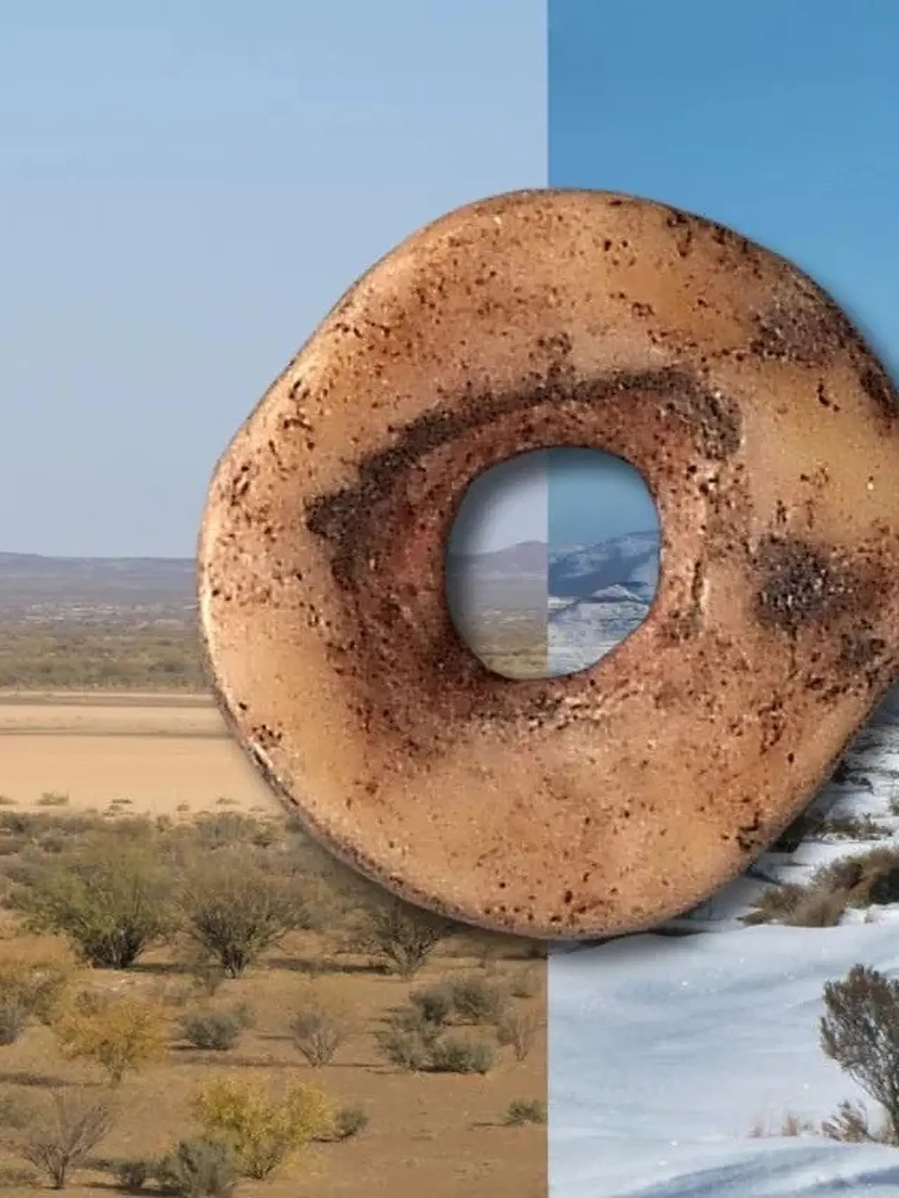 Kulit Telur Burung Unta Ini Jadi Bukti Asuransi Manusia Sudah Ada Sejak ...