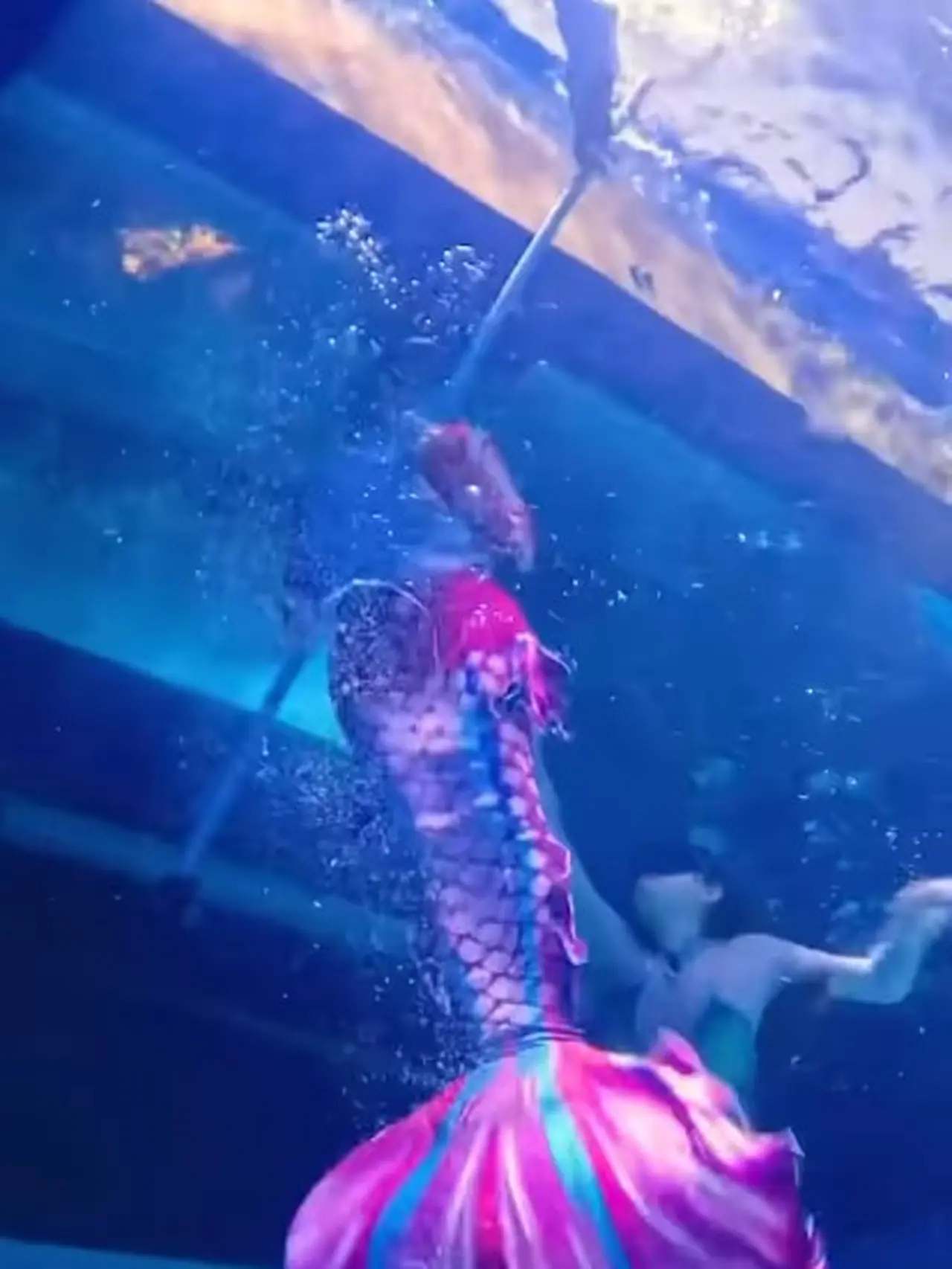 Momen Lucu Ria Ricis Jadi Mermaid di Akuarium, Nabrak Ikan Hiu