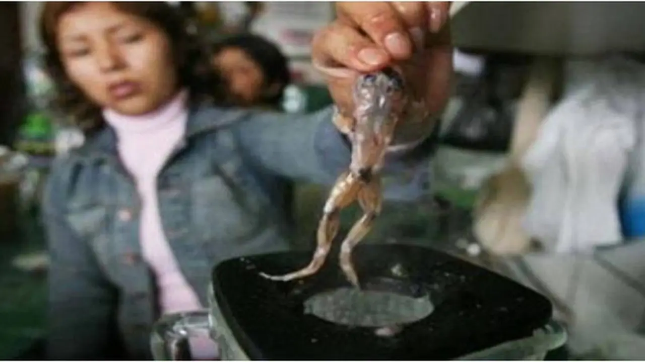 10 Minuman Yang Terbuat Dari Bahan Paling Aneh