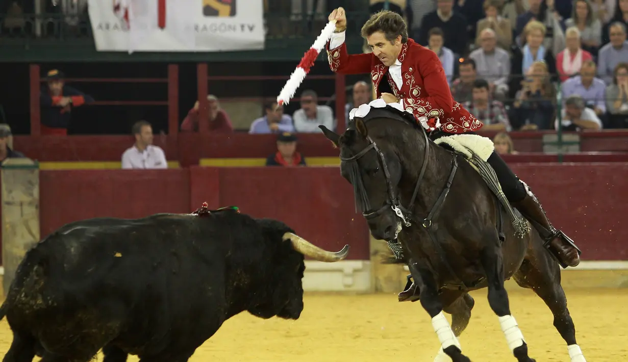 Foto-Foto Aksi Heroik Matador Sepanjang 2016 - Foto Liputan6.com