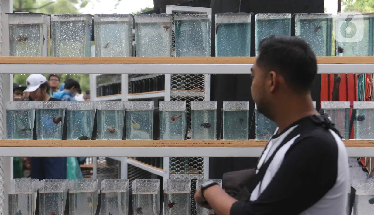 Antusias Pengunjung di Hari Pertama Soundrenaline 2022 - Foto Liputan6.com