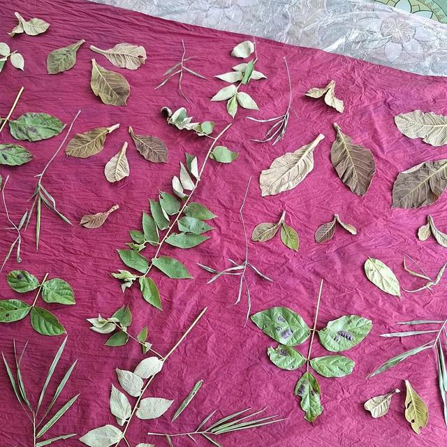 Cara Membuat Batik Ecoprint, Manfaatkan Alam untuk Karya Seni Kain yang ...