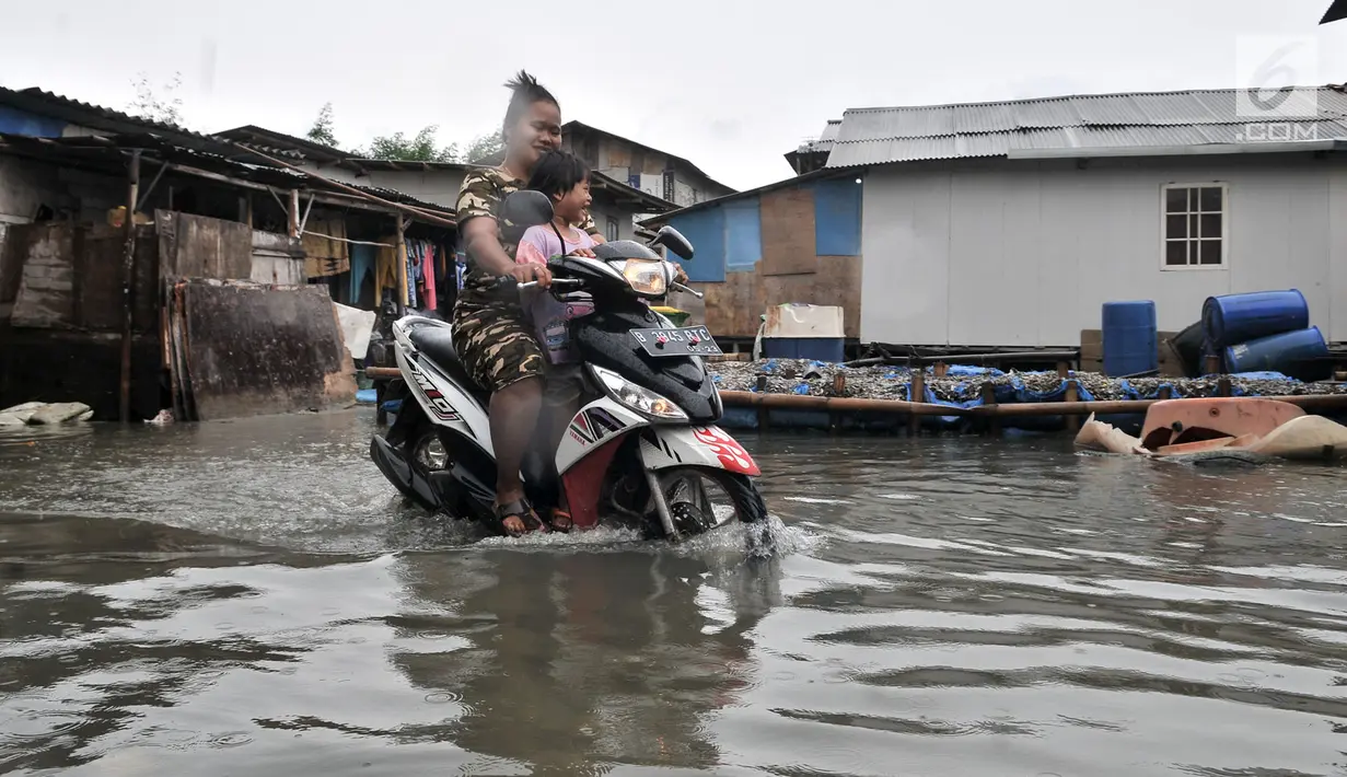 FOTO: Banjir Rob Ganggu Aktivitas Warga Muara Angke - Foto Liputan6.com