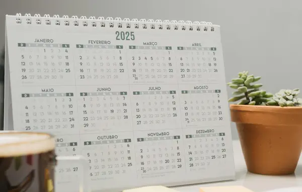 Masih Ingat Film Kartun Hachi? Ini Akhir Kisah Mencari Ibu Lebah yang ...