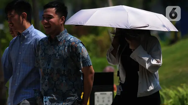 Cuaca Panas Bikin Nyamuk Makin Banyak, Waspadai Risiko Penyakit Ini - Health Liputan6.com