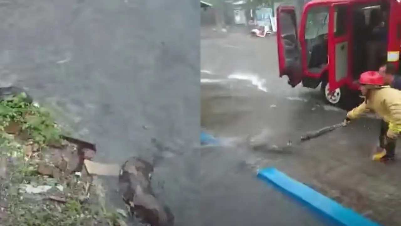Viral Ular Piton Jumbo Hanyut saat Banjir Berontak Lawan Damkar, Bikin Histeris - Hot Liputan6.com