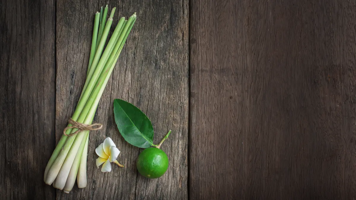 Berita Resep Batang Serai Hari Ini - Kabar Terbaru Terkini | Liputan6.com