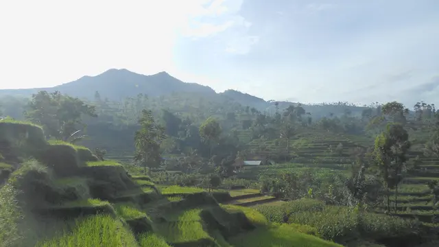6 Fakta Menarik Gunung Rakutak, Bagian Cagar Alam Kamojang di Bandung ...