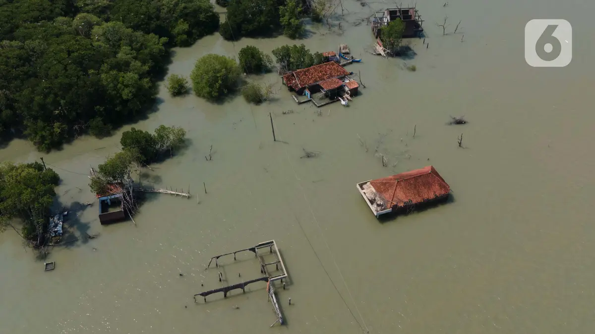 Berita Desa Rejosari Senik Hari Ini - Kabar Terbaru Terkini | Liputan6.com