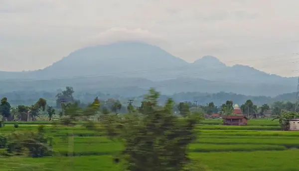 6 Fakta Menarik Gunung Sagara di Garut yang Cocok untuk Pendaki Pemula ...