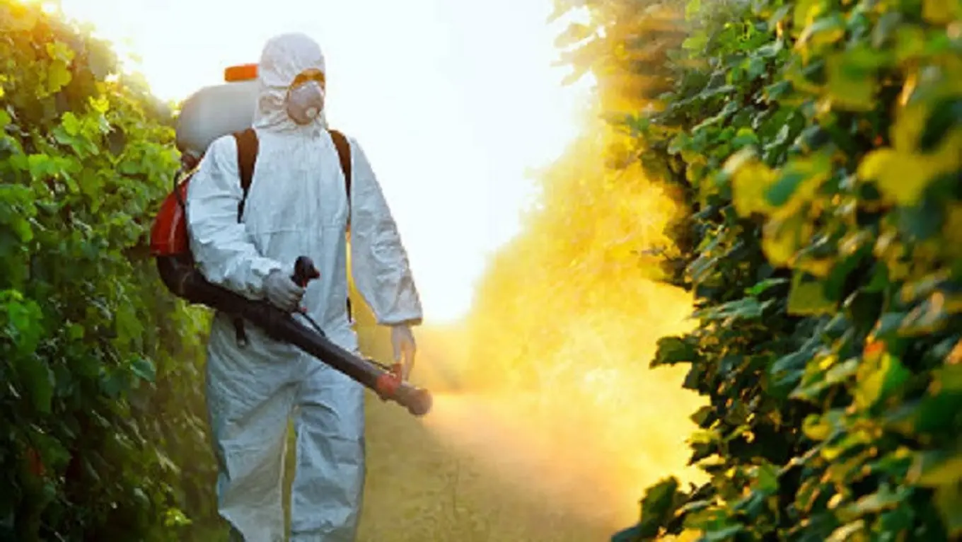 Cara Membuat Pestisida Alami dan Manfaatnya Untuk Lingkungan