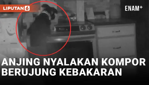 Tuai Penolakan, Prabowo Janji Cari Solusi untuk Iuran Tapera - News ...