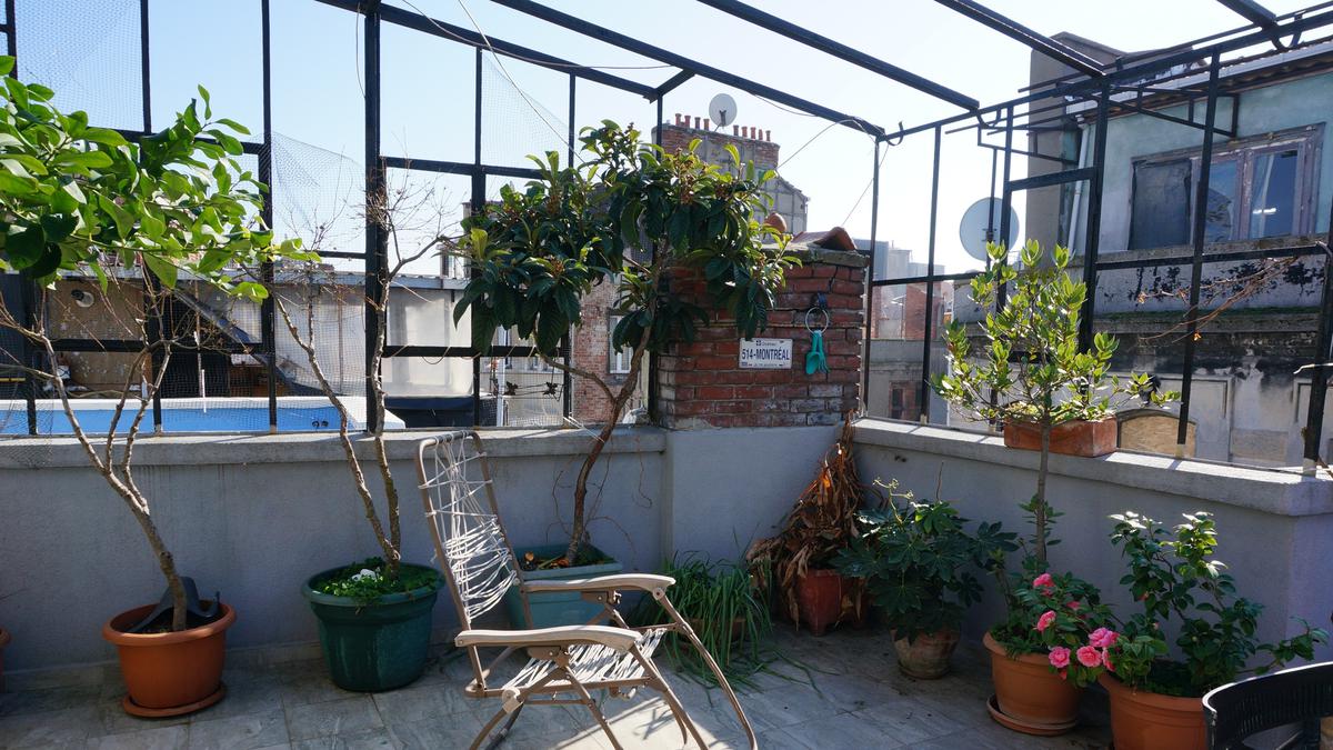 7 Cara Mudah Menata Bunga di Teras Rumah supaya Rapi dan Cantik