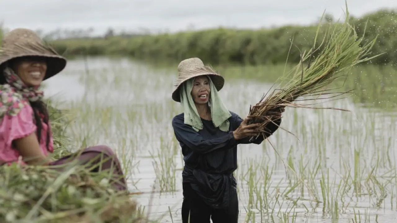 Alokasi Pupuk Subsidi Ditambah Jadi 9,5 Juta Ton, Petani Tak Perlu ...