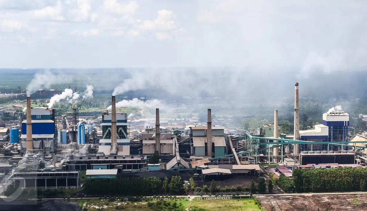Melihat Pabrik Kertas Terbesar di Indonesia dari Pandangan Udara - Foto ...
