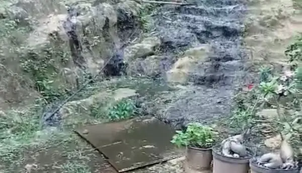Penumpang Harap Cek Tiket Lagi, Jadwal Kereta Api Daop 9 Jember Berubah ...