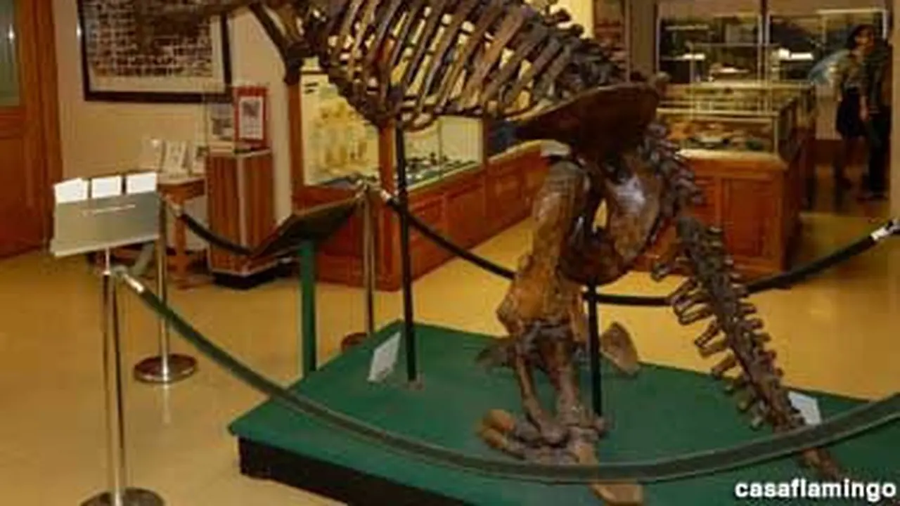 Eksplorasi 5 Hewan Raksasa yang Pernah Hidup Berdampingan dengan ...