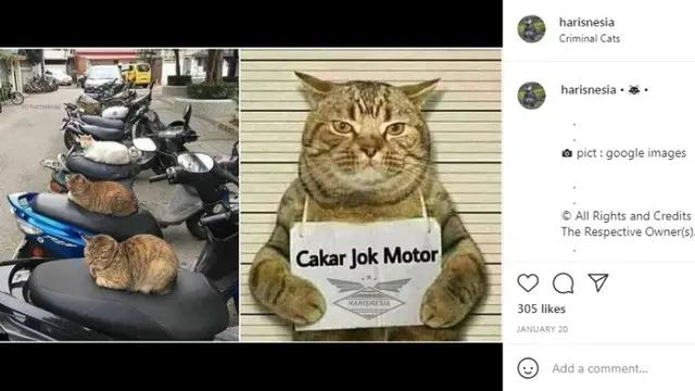 Meme Otomotif: Ini Dia Tersangka Pengerusakan Jok Motor - Otomotif ...