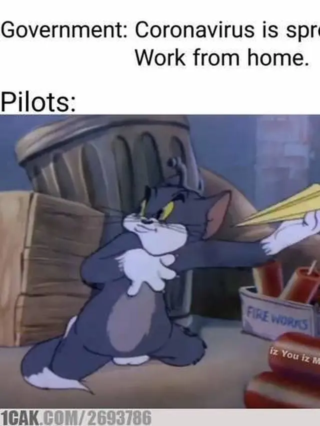 Top 3: Meme Kocak Gambarkan Profesi Tertentu Kalau Work from Home ...
