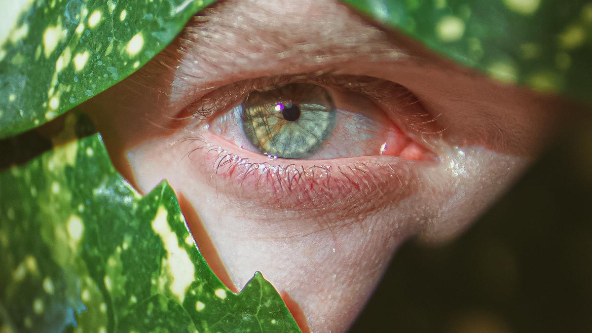 Mengenal Degenerasi Makula, Penyebab Disabilitas Netra Terbesar Secara ...