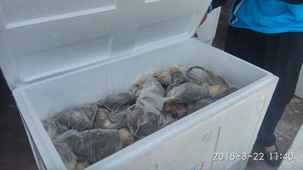 Top 3 Berita Hari Ini: Bukan Ikan, Tapi Ribuan Ekor Tikus Beku ...