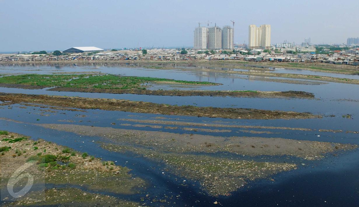 Begini Wujud Waduk Pluit Sekarang - Foto Liputan6.com